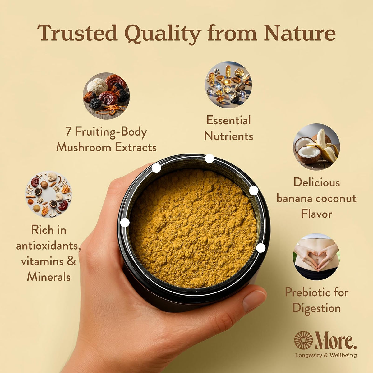 Mushroom blend for immune support