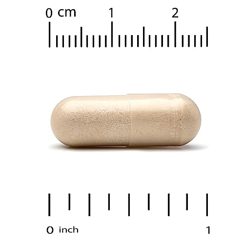 mushroom blend for immune support