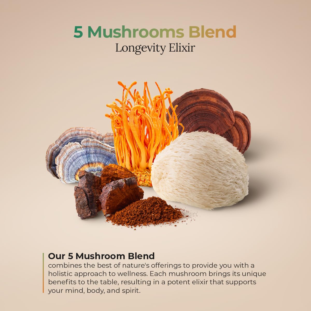 mushroom blend for immunity