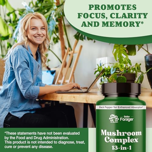Mushroom blend for improved concentration