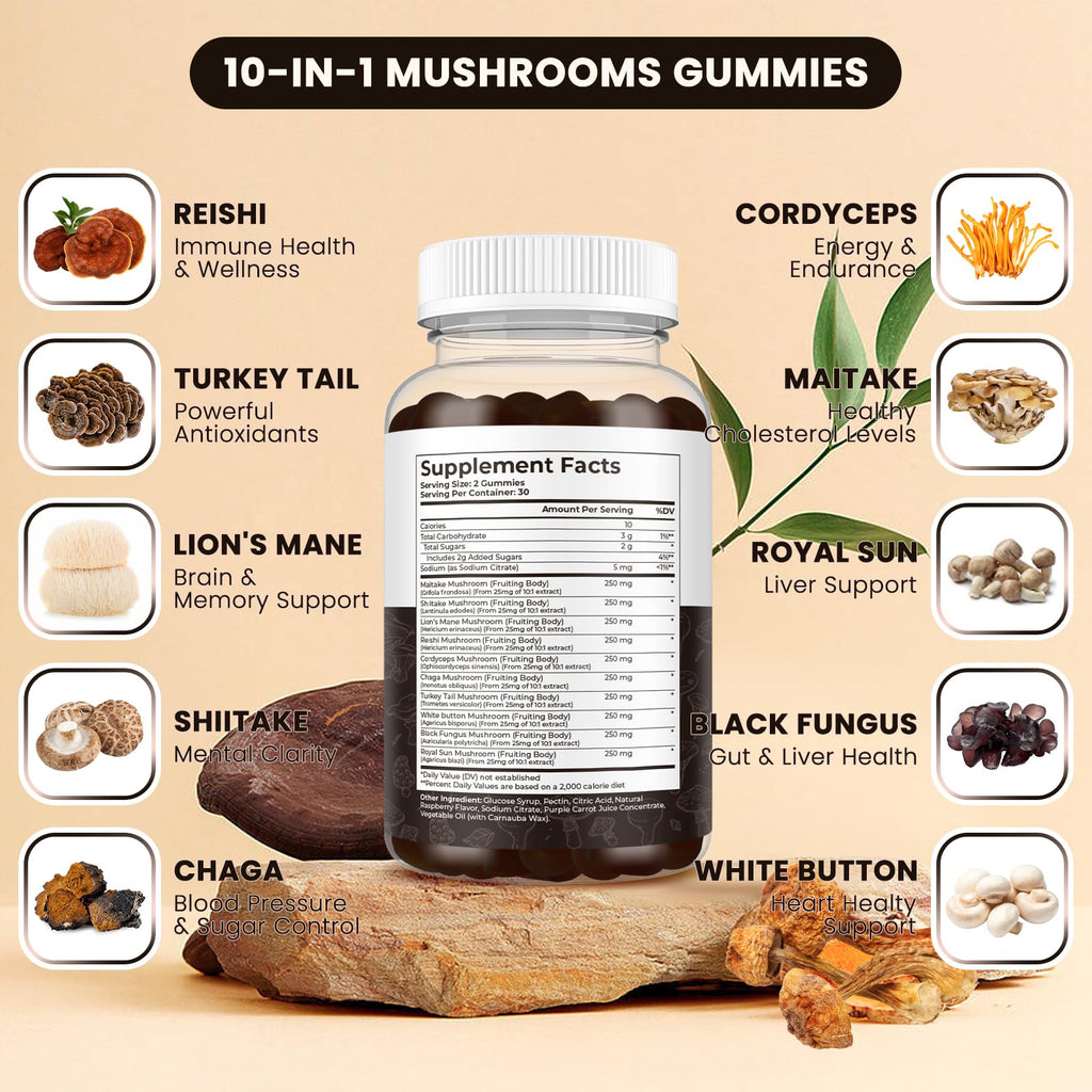 Mushroom blend for memory support