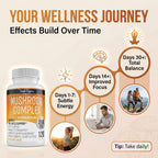 mushroom blend for mental clarity