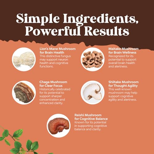 Mushroom blend for mental clarity