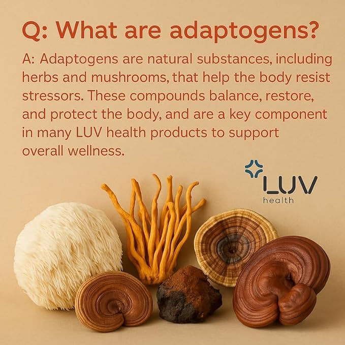 mushroom blend for overall wellness