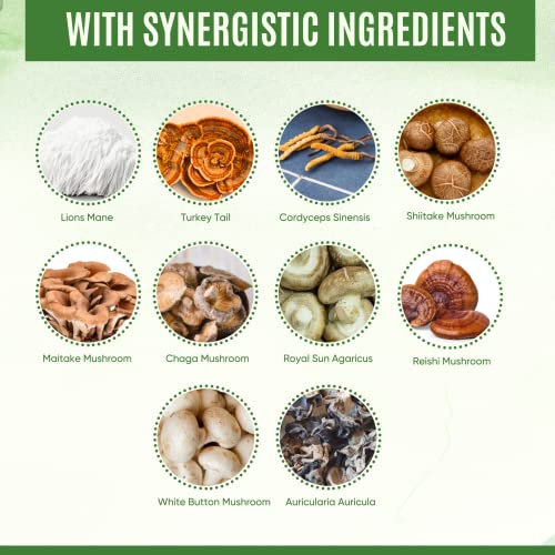mushroom blend for overall wellness