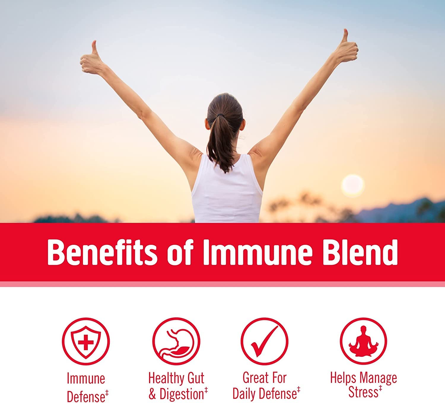 mushroom blend for overall wellness