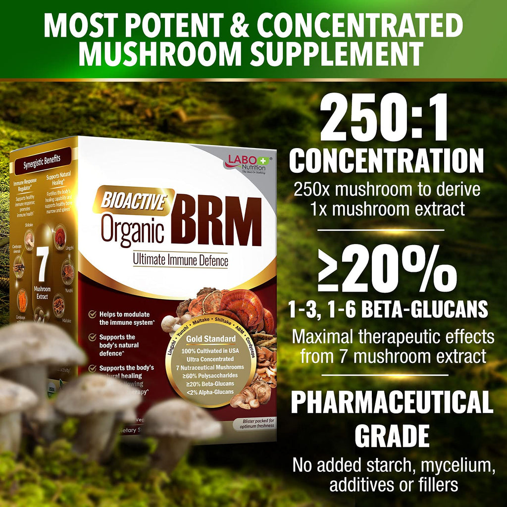 mushroom blend for overall wellness