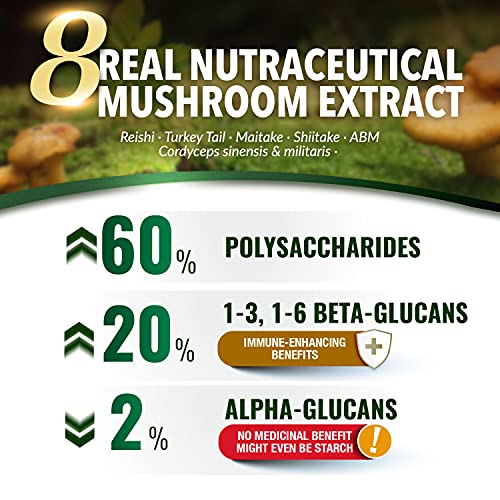 mushroom blend for overall wellness