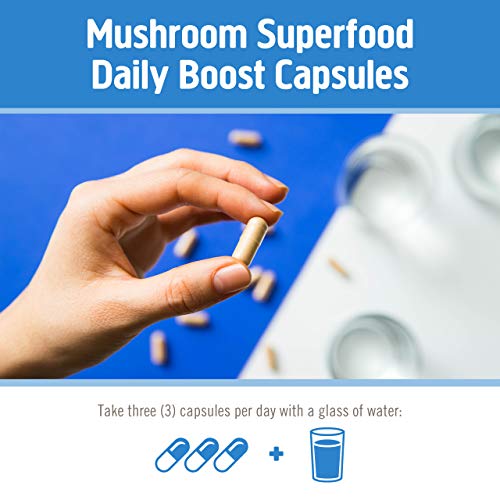 mushroom blend for respiratory wellness