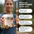 mushroom blends for balanced mood
