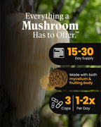 Mushroom blends for cognitive support