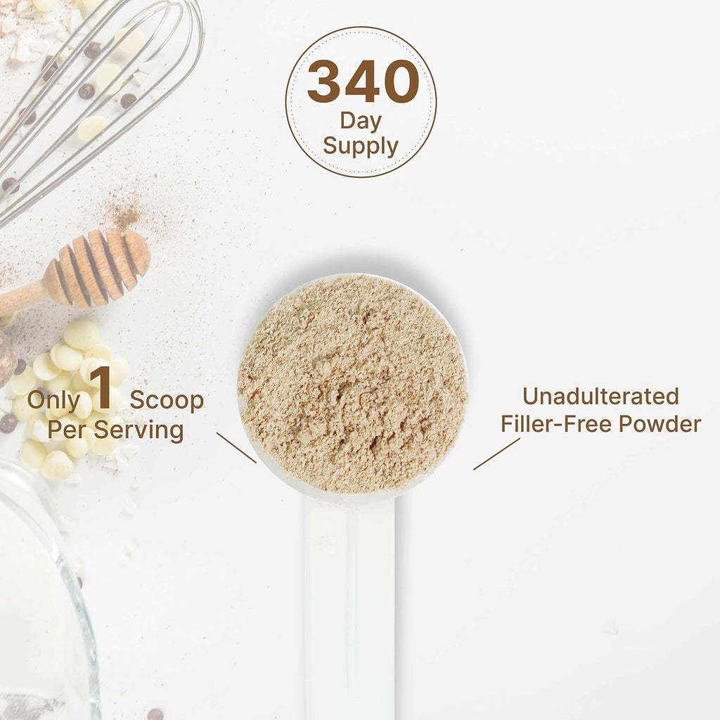 mushroom blends for daily nutrition