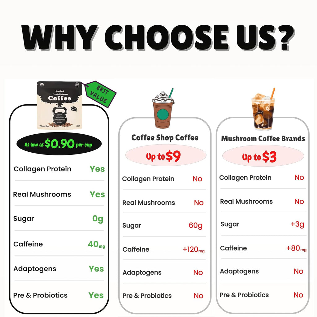 mushroom blends for daily vitality