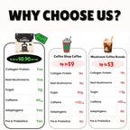 mushroom blends for daily vitality