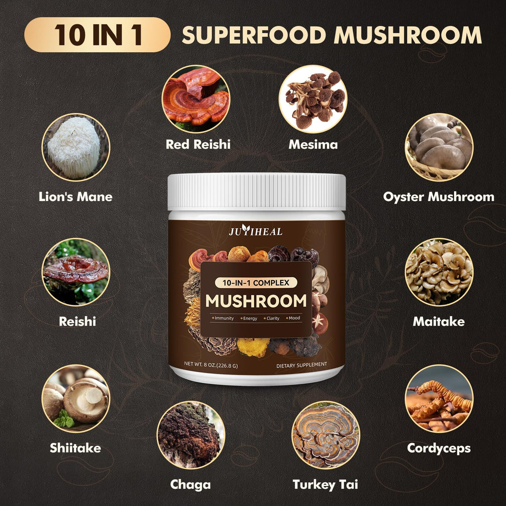 mushroom blends for energy boost