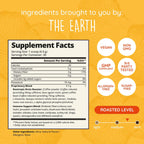 mushroom blends for energy boost