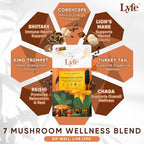 mushroom blends for energy boost