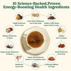 mushroom blends for energy boost