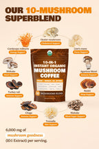 mushroom blends for energy