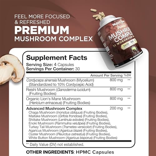 Mushroom blends for enhanced energy