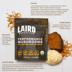 mushroom blends for enhanced focus