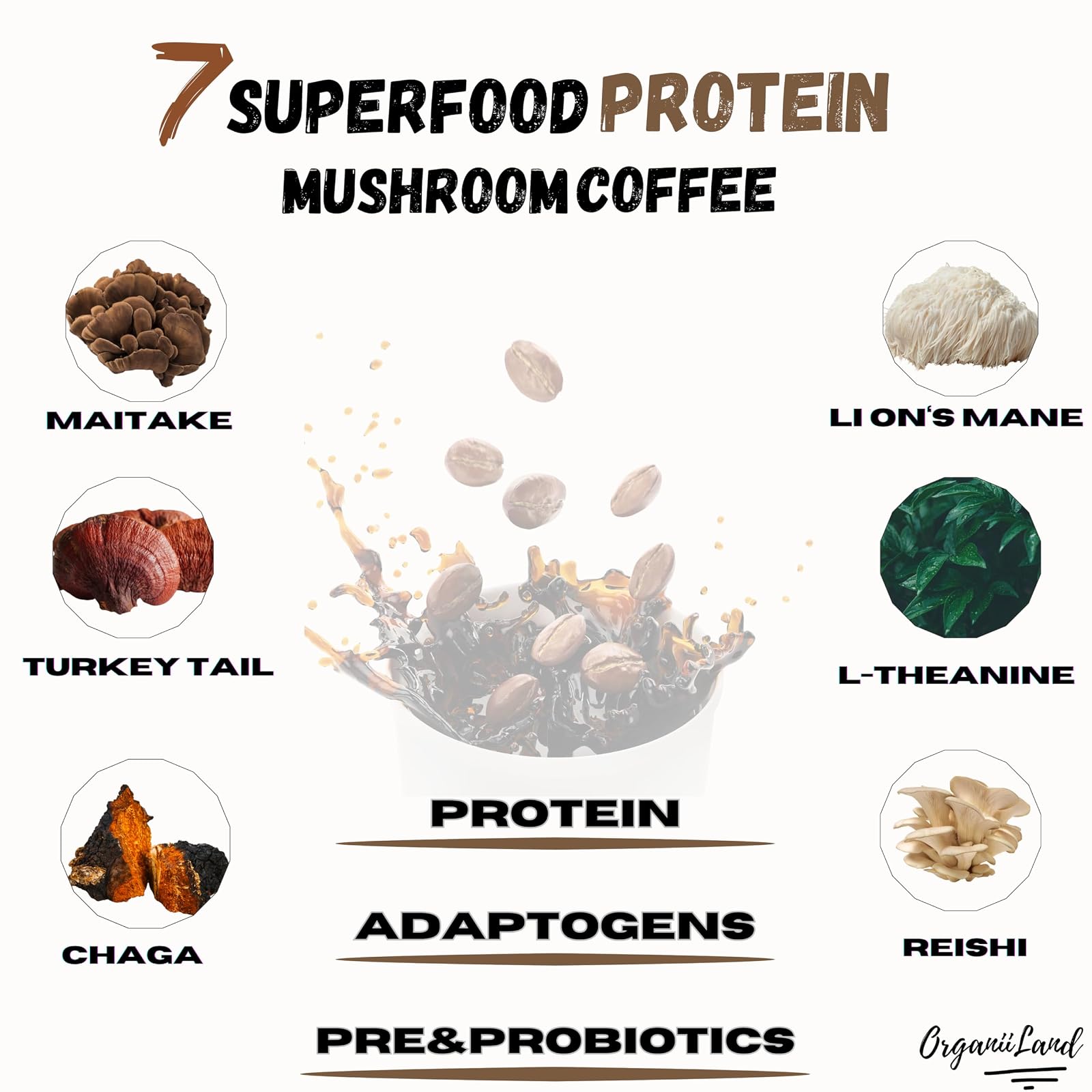 mushroom blends for enhanced focus