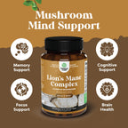 Mushroom blends for enhanced focus