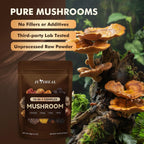 mushroom blends for holistic health