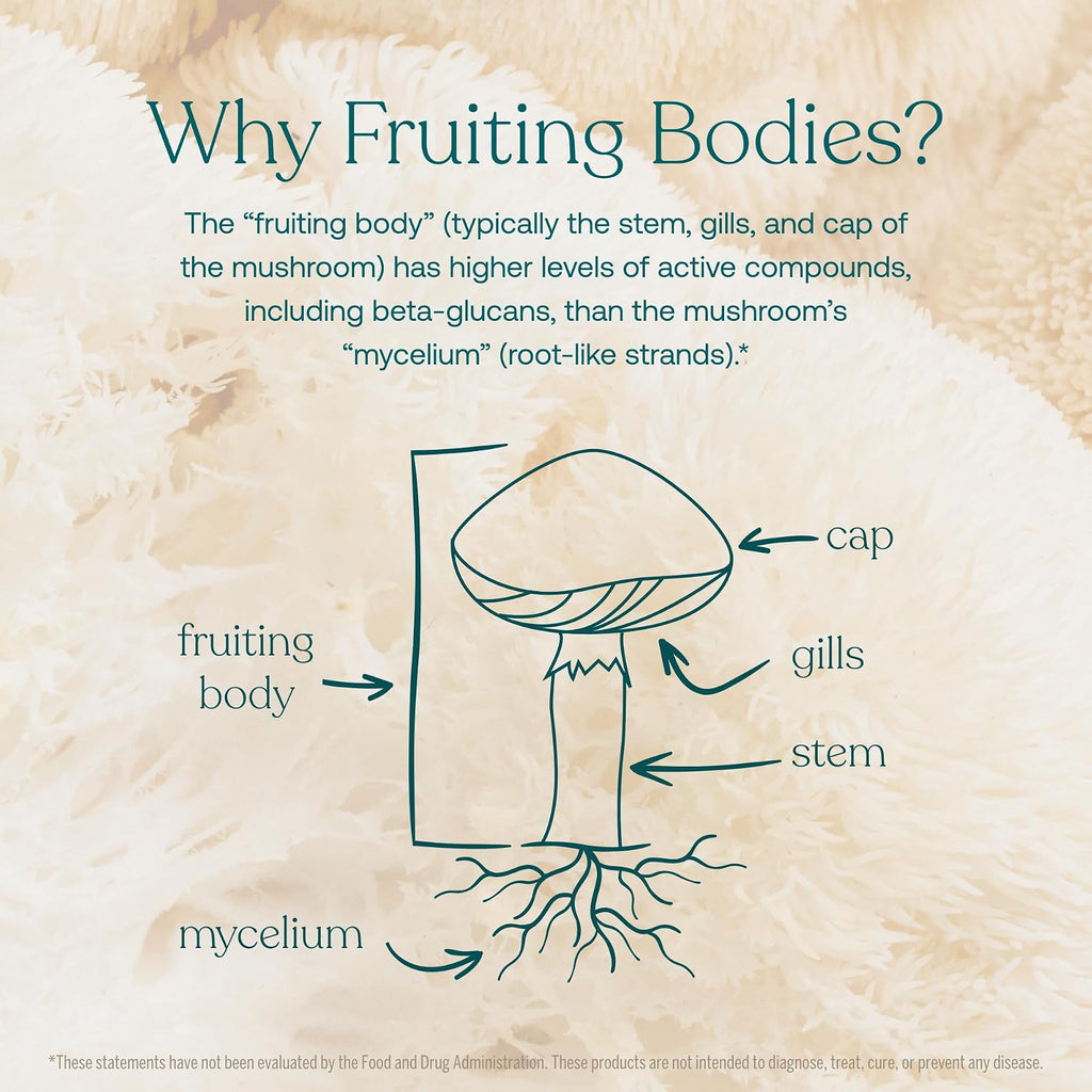 Mushroom blends for immune support