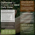 mushroom blends for overall health