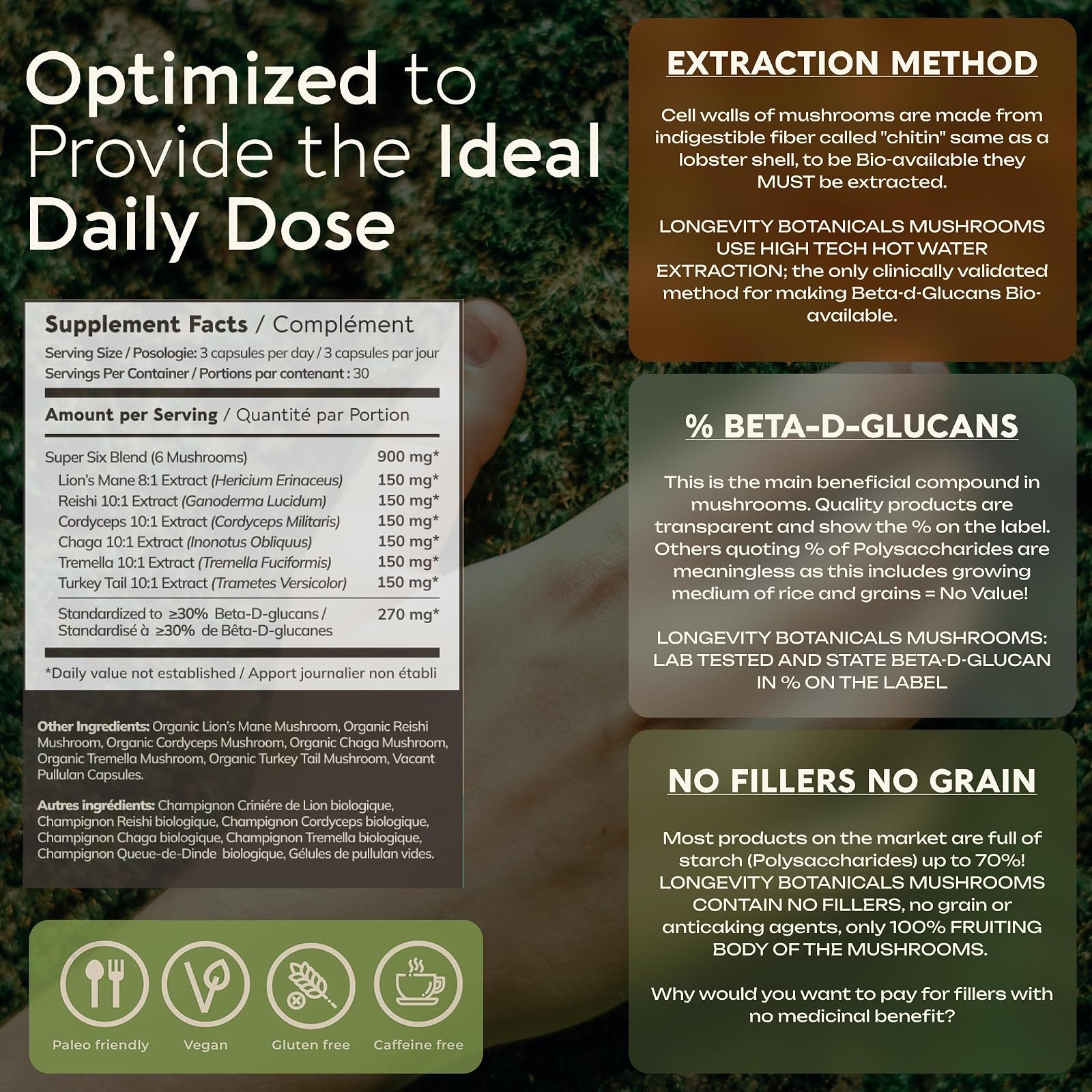 mushroom blends for overall health