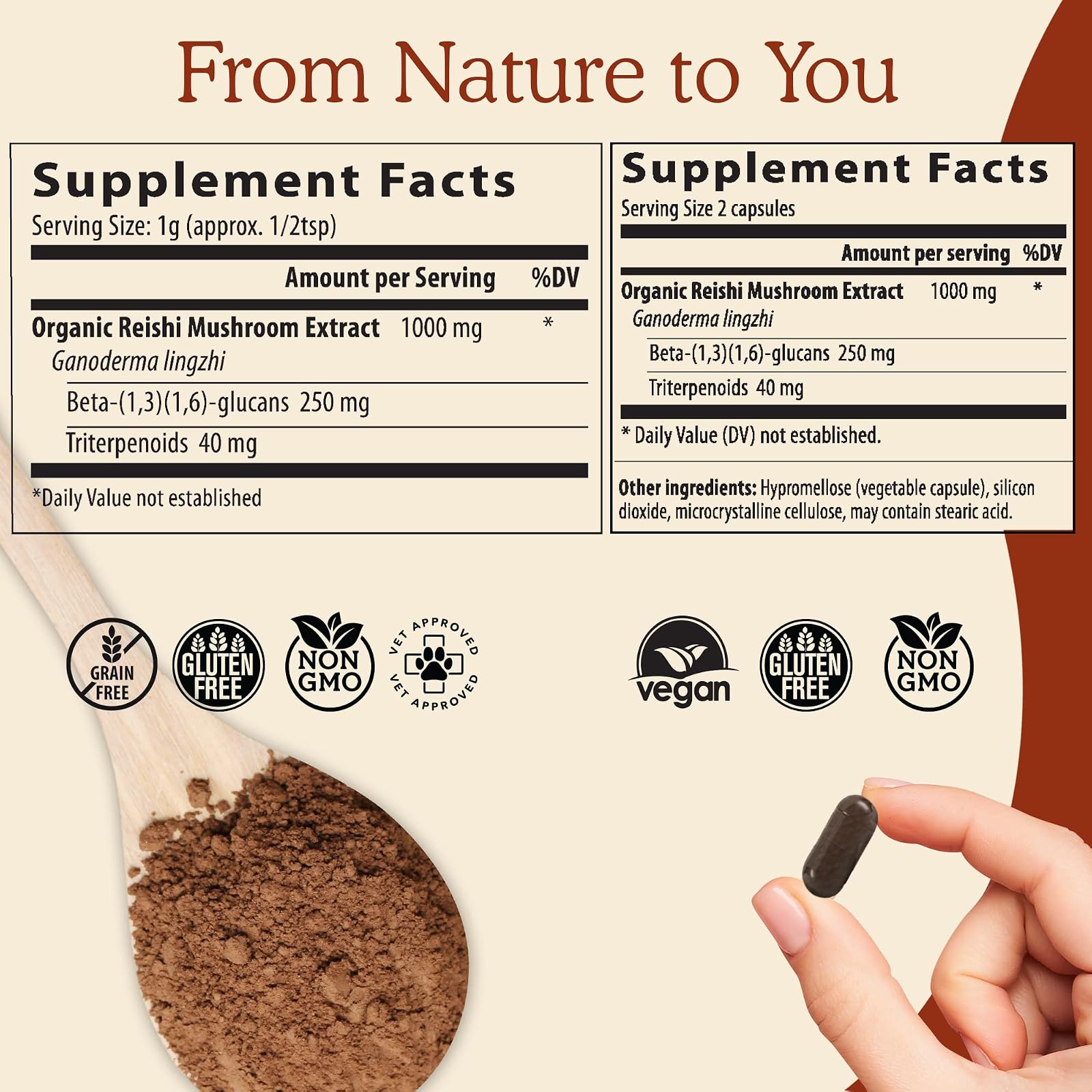 Mushroom blends for overall wellness