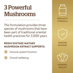 Mushroom blends for stress relief