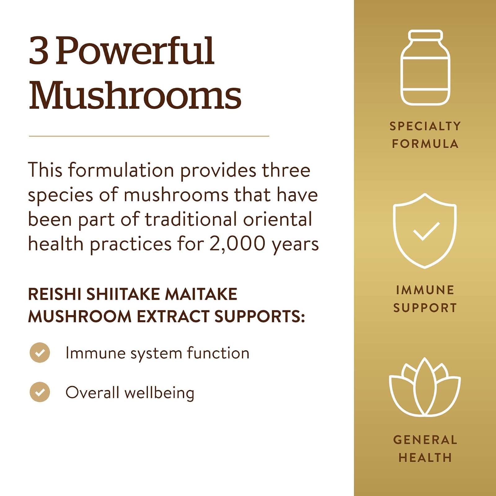 Mushroom blends for stress relief
