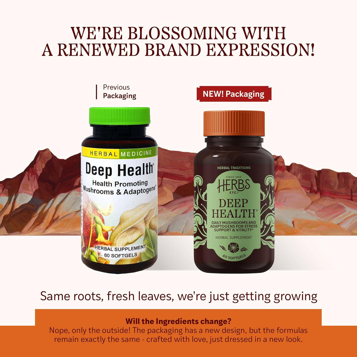mushroom blends for stress relief