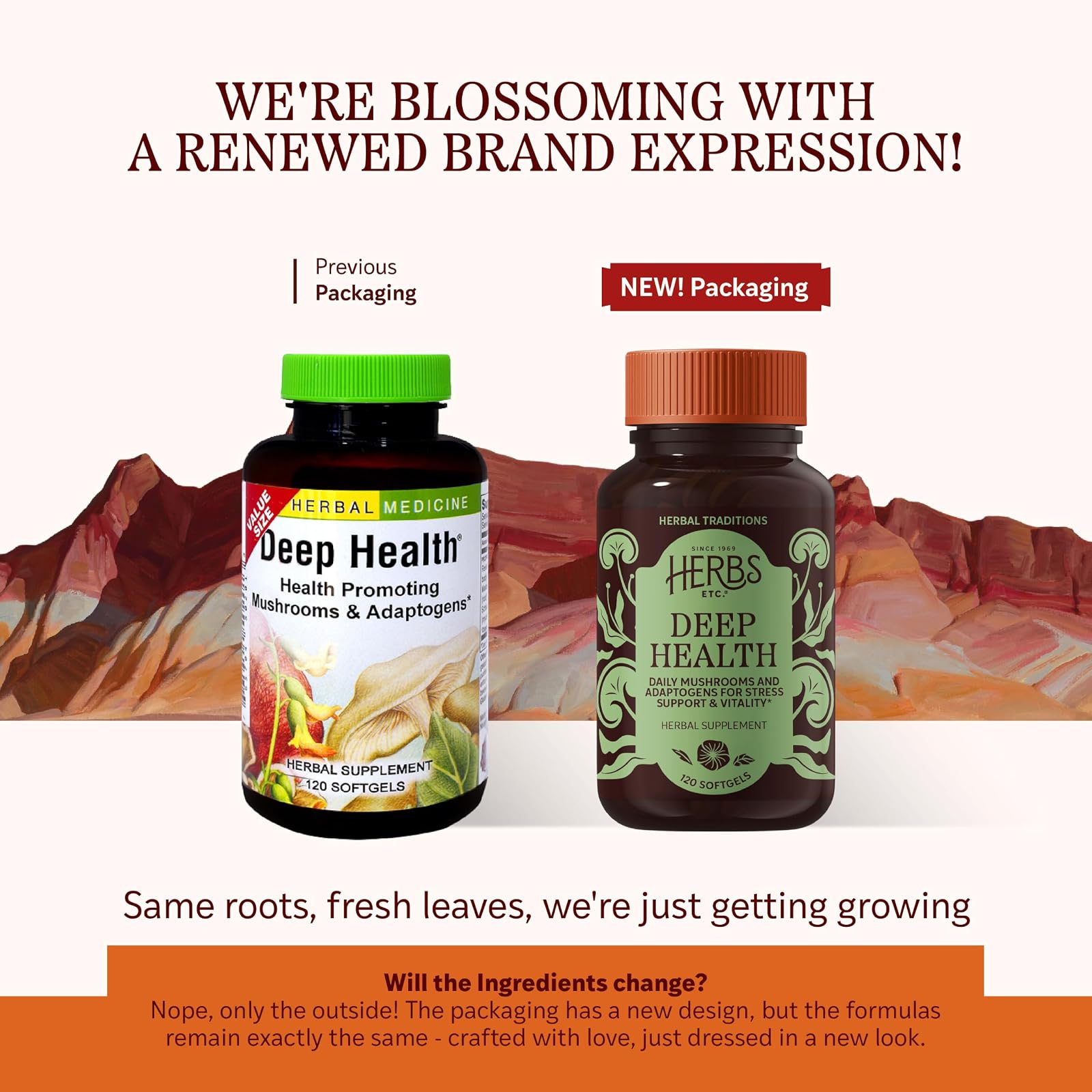 mushroom blends for stress relief