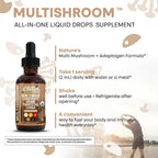mushroom blends for stress relief