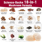 mushroom blends for stress relief
