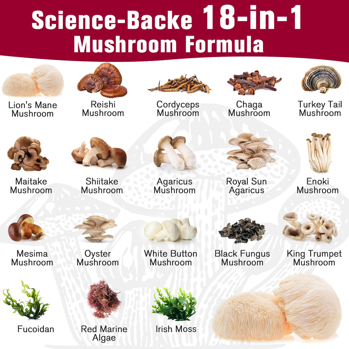 mushroom blends for stress relief