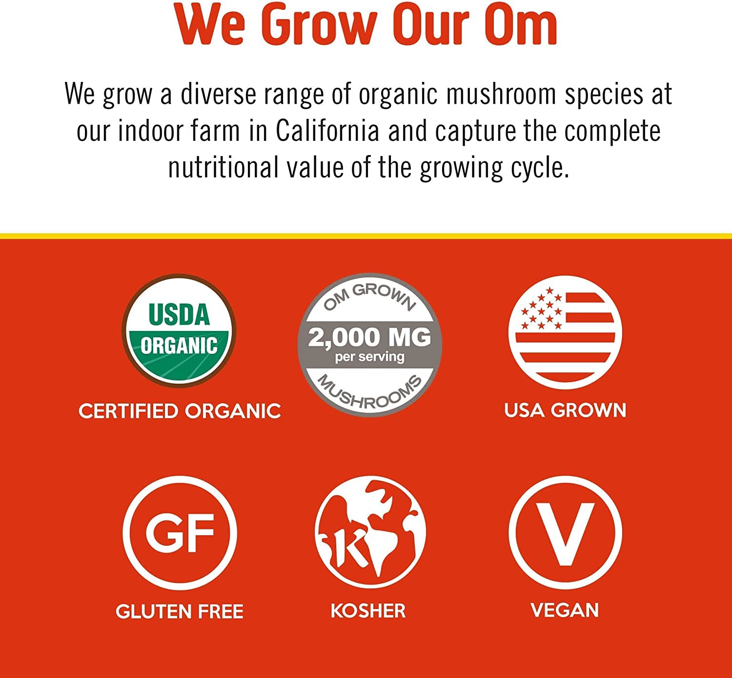 mushroom blends for sustained energy