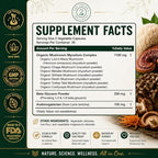 mushroom blends to support brain function