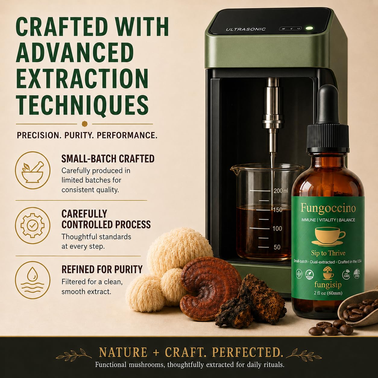mushroom booster for enhanced energy