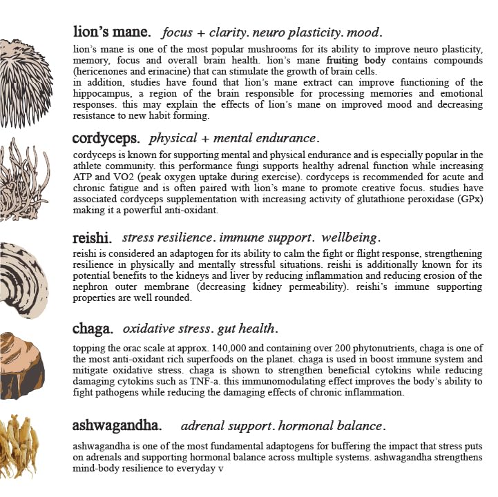 mushroom cacao for a healthy lifestyle