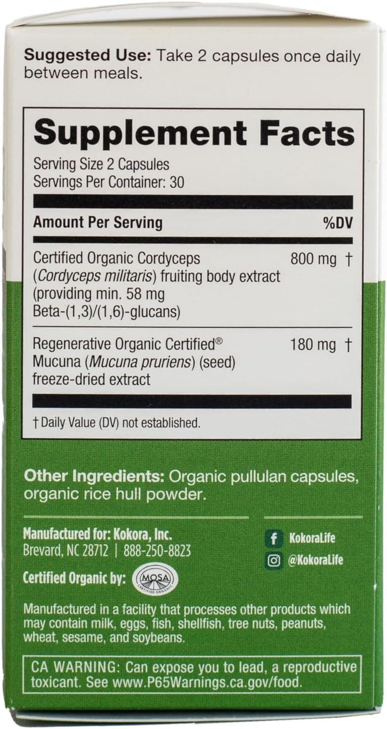 mushroom capsules for better focus and clarity