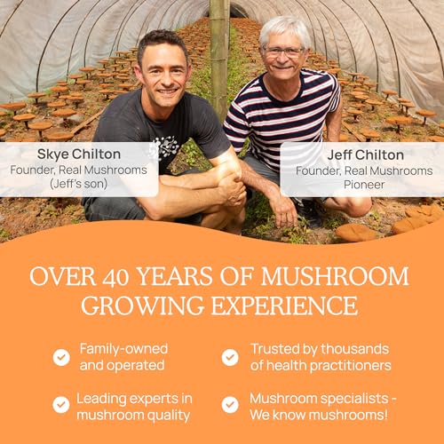 Mushroom capsules for busy lifestyles