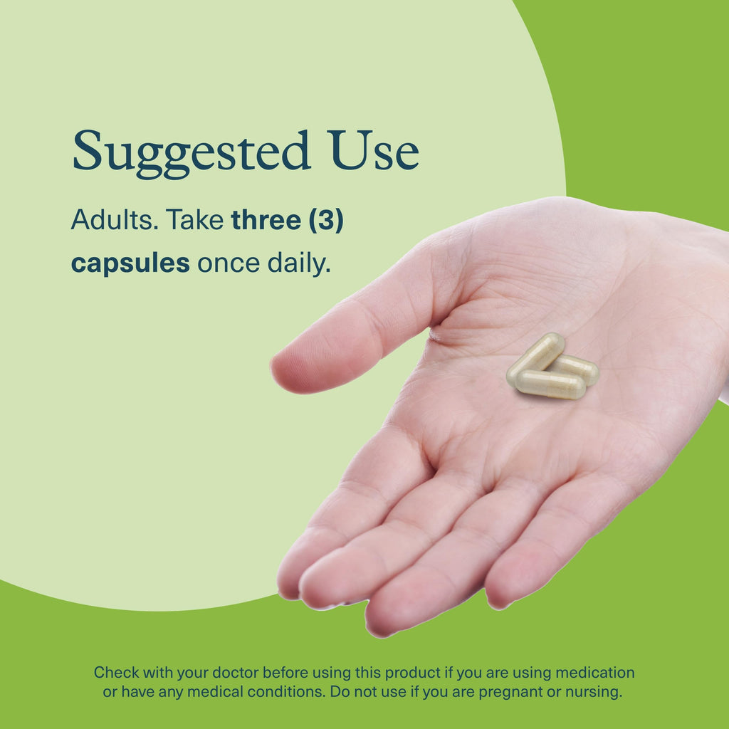 mushroom capsules for busy lifestyles