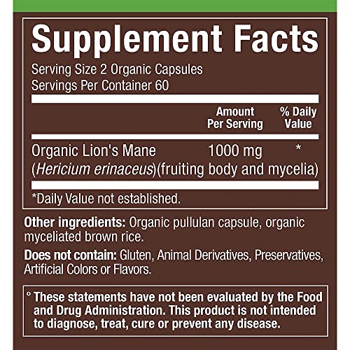 mushroom capsules for cognitive function