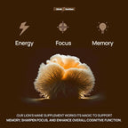 mushroom capsules for cognitive support