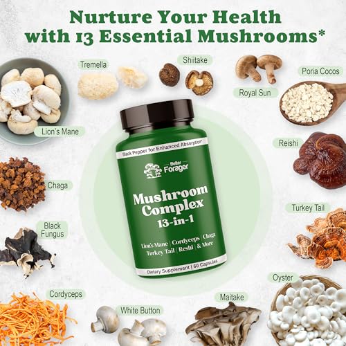 Mushroom capsules for cognitive support