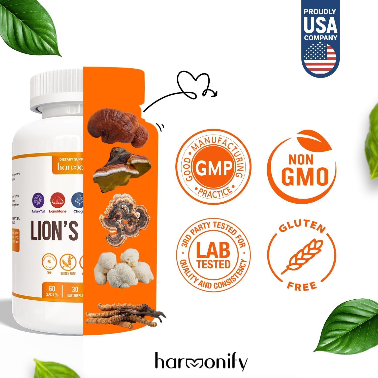mushroom capsules for cognitive support